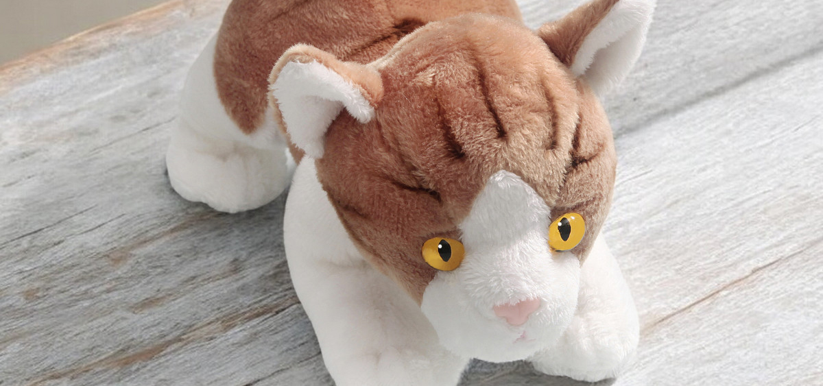 Plush Cats, Stuffed Cats and Cuddly Toy Cats | Plueschtier.de